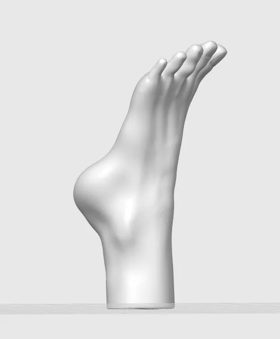 Feet - Foot by Leroyd MakerWorld: Download Free 3D Models
