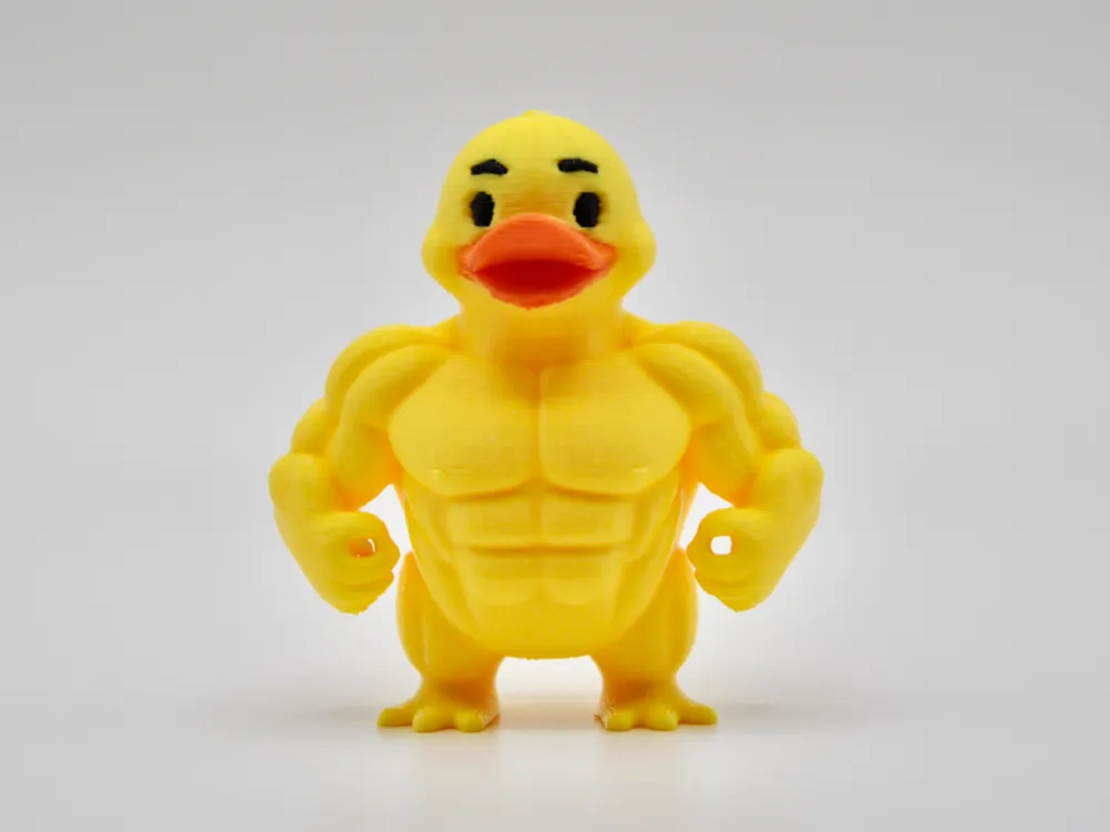 Muscular Duck - Free 3D Print Model - MakerWorld