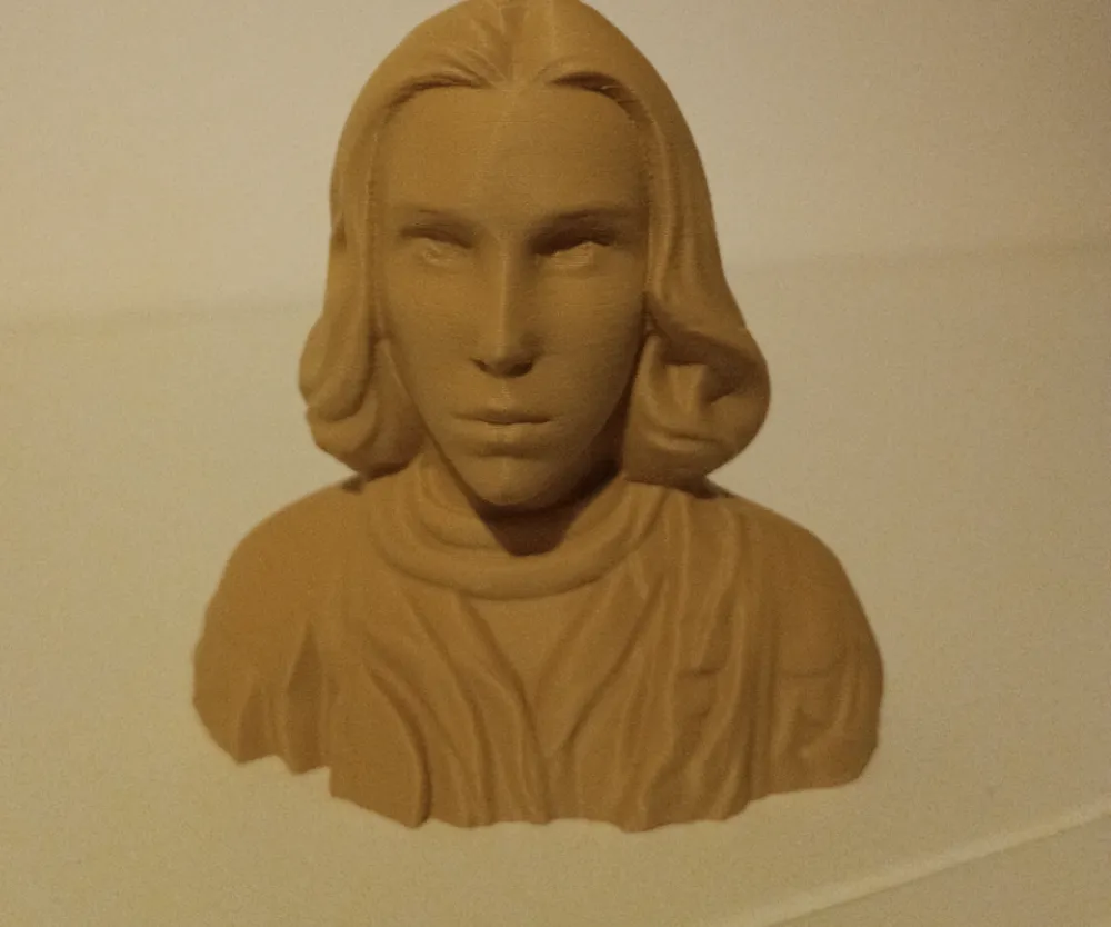 Statu Eleven by SpeedPrint - MakerWorld