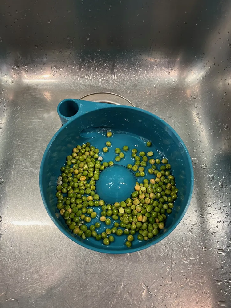 Automatischer Obst- und Lebensmittelwascher von Tom MakerWorld ...