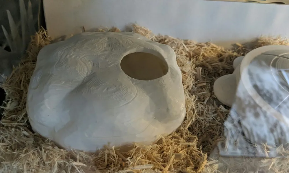Terrarium Wet Box Remixed by Solid Bizz MakerWorld: Download Free 3D Models