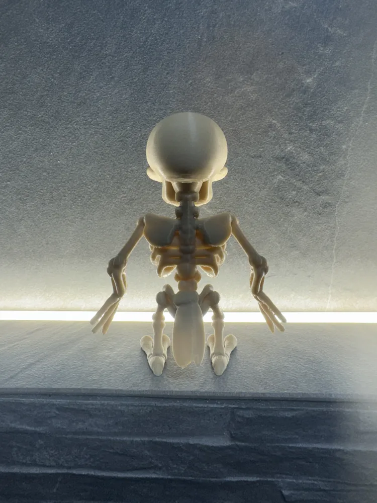 Crow skeleton by Matto197 MakerWorld: Download Free 3D Models