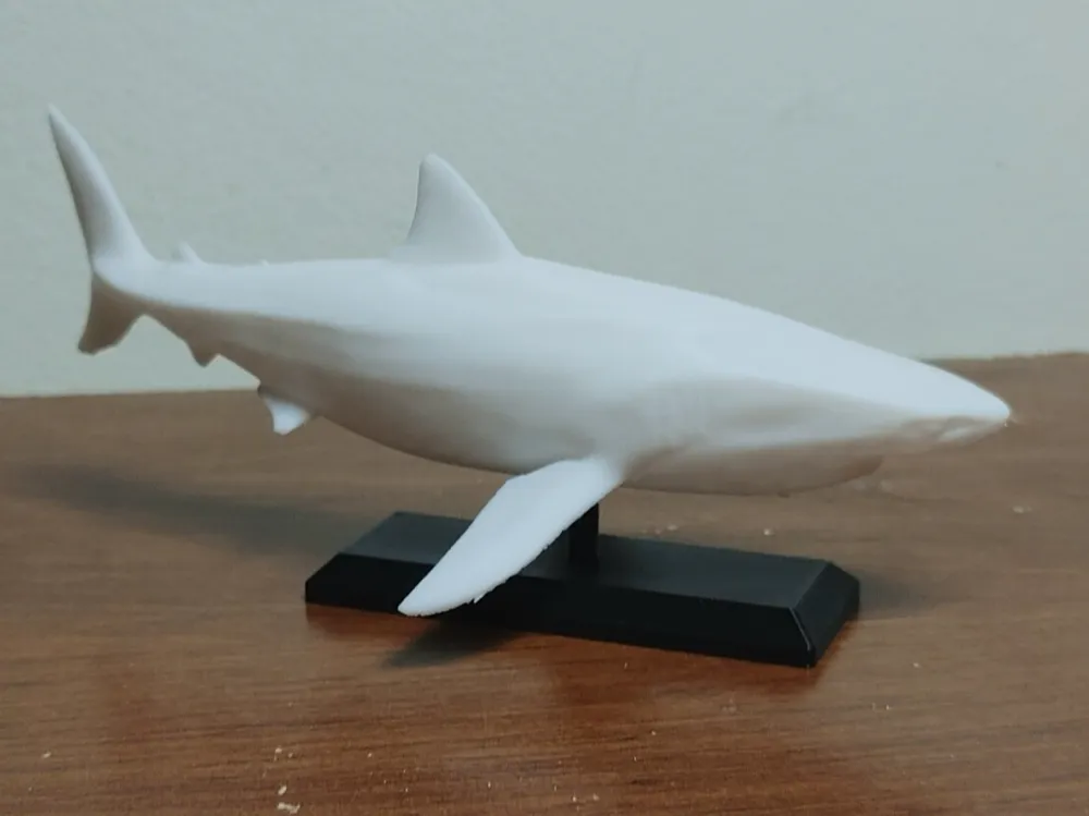 Great White Shark Mount by Fish Prints MakerWorld: Download Free 3D Models