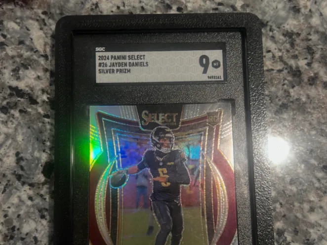 Protection de dalles SGC - Modèle d'Impression 3D Gratuit - MakerWorld