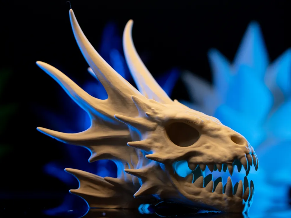 The Dragonfish Skull Fossil by Boys Day Design MakerWorld: Download ...
