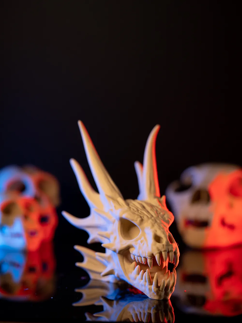 The Dragonfish Skull Fossil by Boys Day Design MakerWorld: Download ...