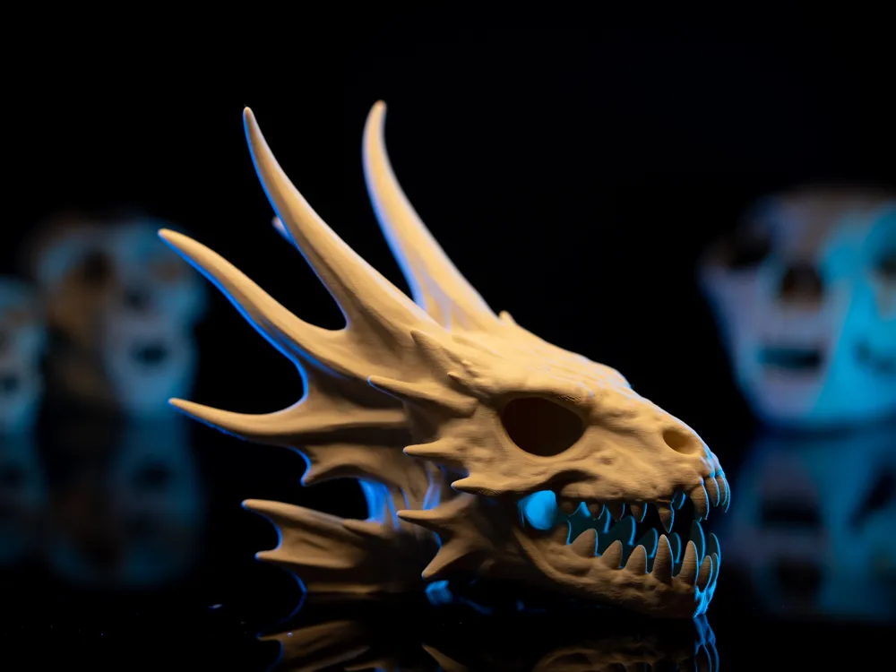 The Dragonfish Skull Fossil by Boys Day Design MakerWorld: Download ...