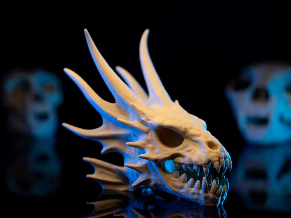 The Dragonfish Skull Fossil by Boys Day Design MakerWorld: Download ...