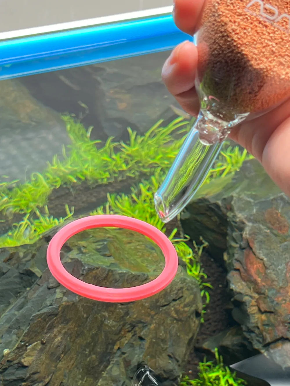 Aquarium fish feeding ring Floating feeder by 小土豆 MakerWorld: Download ...