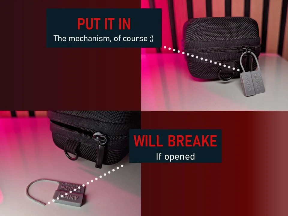 Tamper Save Lock - Confidence melted into PLA - Free 3D Print Model ...