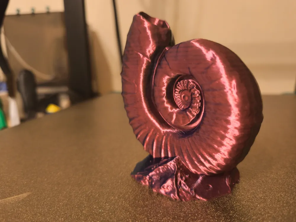 Ammonites - Free 3D Print Model - MakerWorld