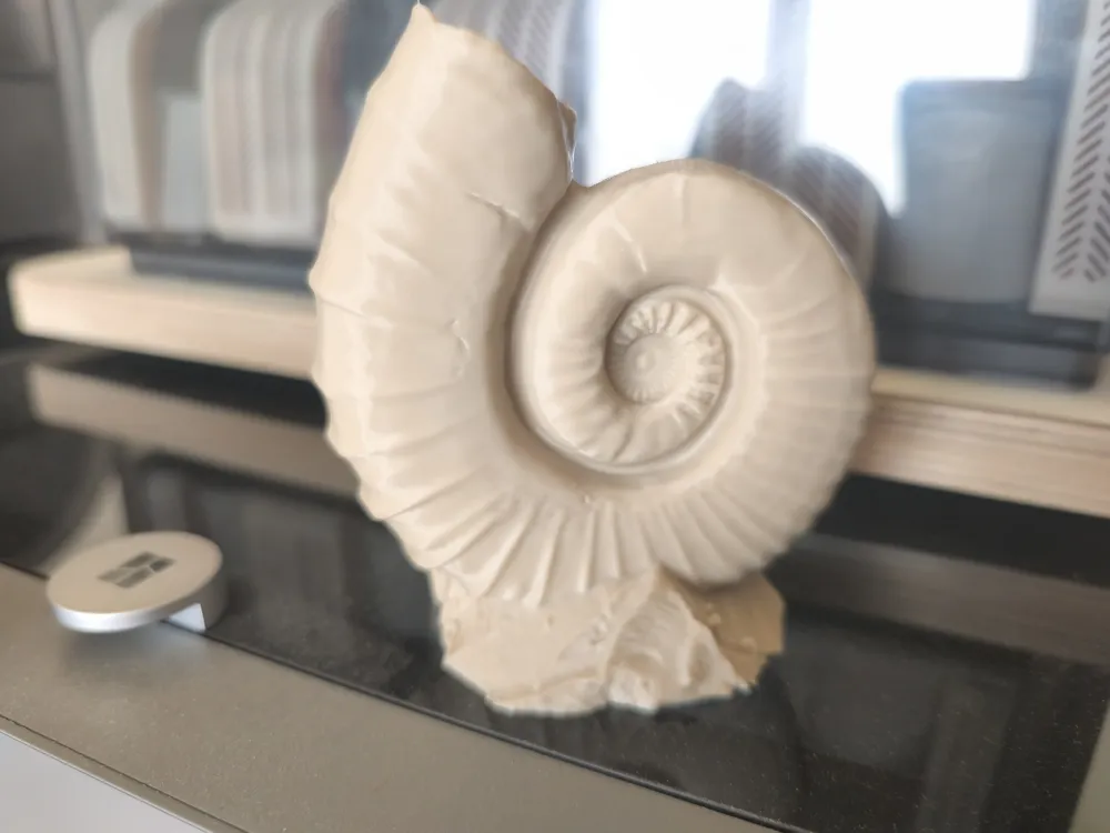 Ammonites - Free 3D Print Model - MakerWorld