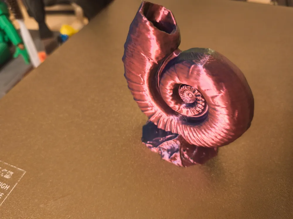 Ammonites - Free 3D Print Model - MakerWorld