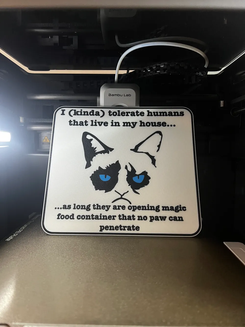 Grumpy cat sign by Arbox24 - MakerWorld