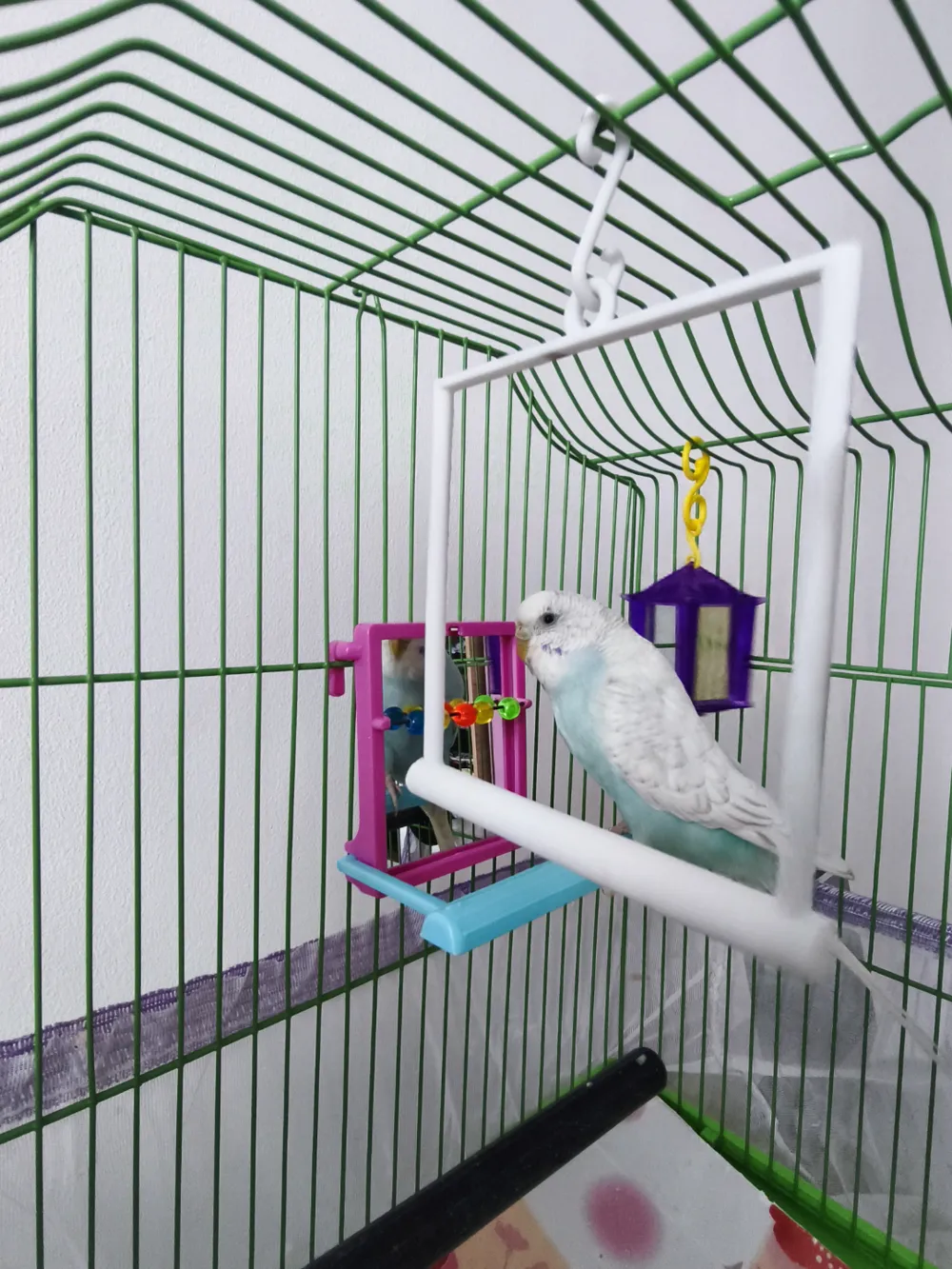 Parrot/parakeet swing by KrazyKong MakerWorld: Download Free 3D Models