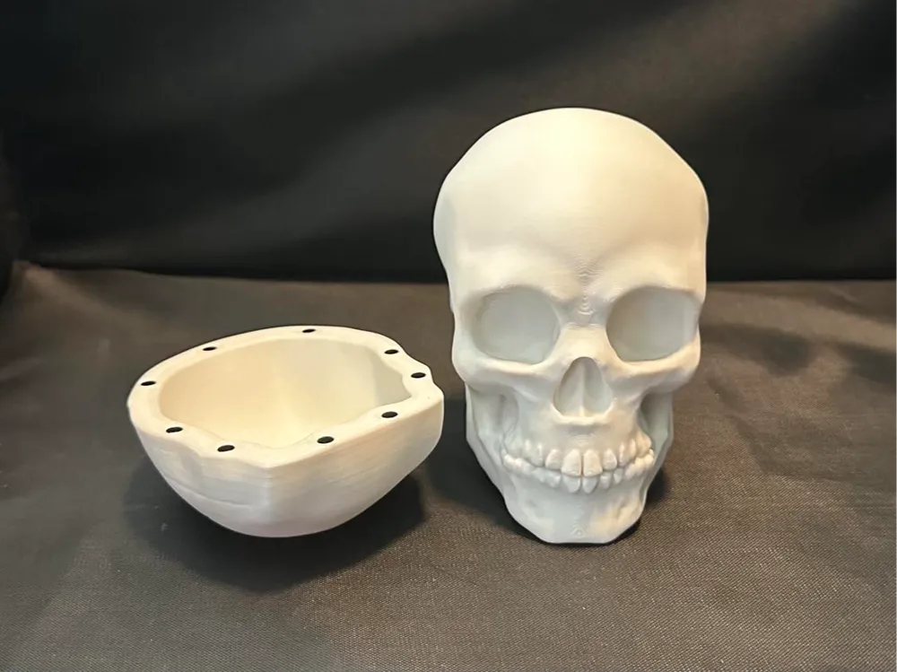 100mm Split Skull Magnetic Container Hidden Stash by BATTCAVE - MakerWorld