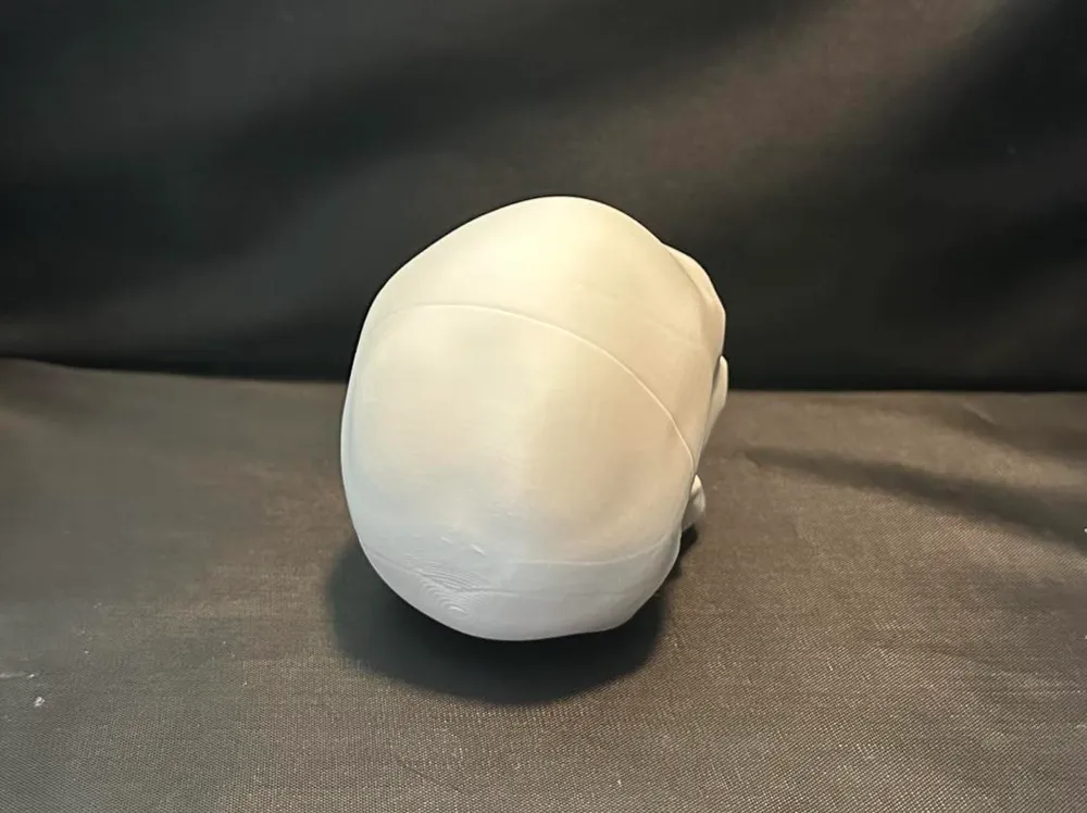 100mm Split Skull Magnetic Container Hidden Stash by BATTCAVE ...