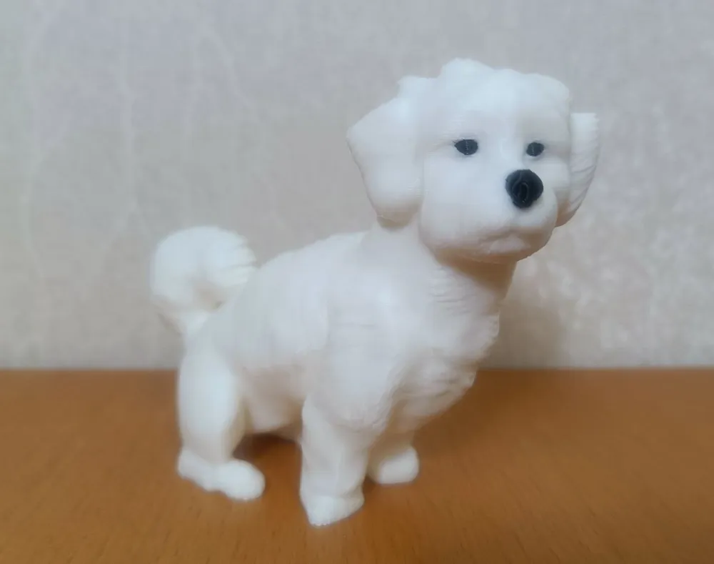 Maltese dog puppy - Free 3D Print Model - MakerWorld