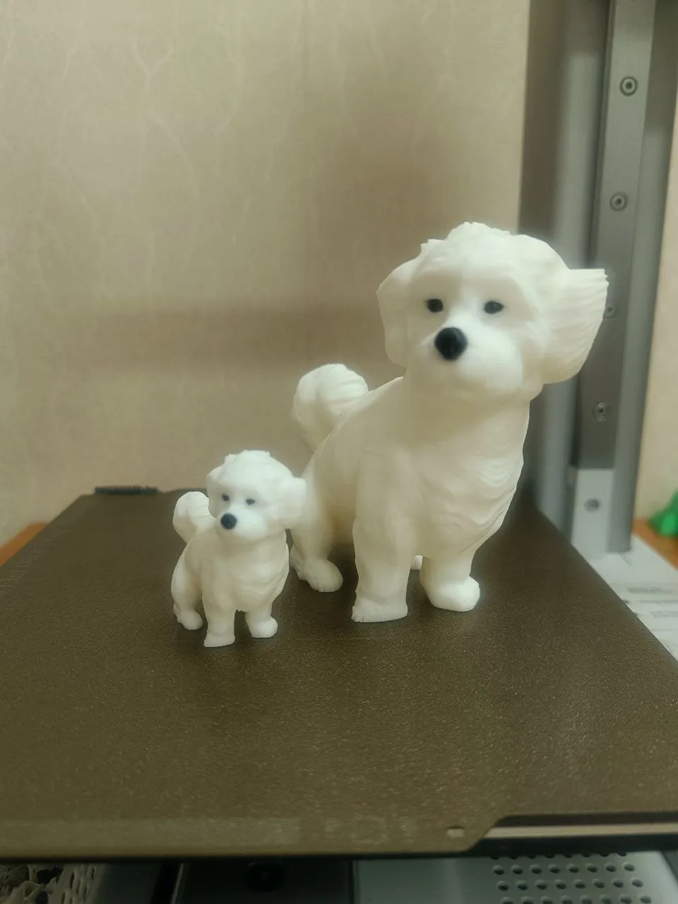 Maltese dog puppy - Free 3D Print Model - MakerWorld