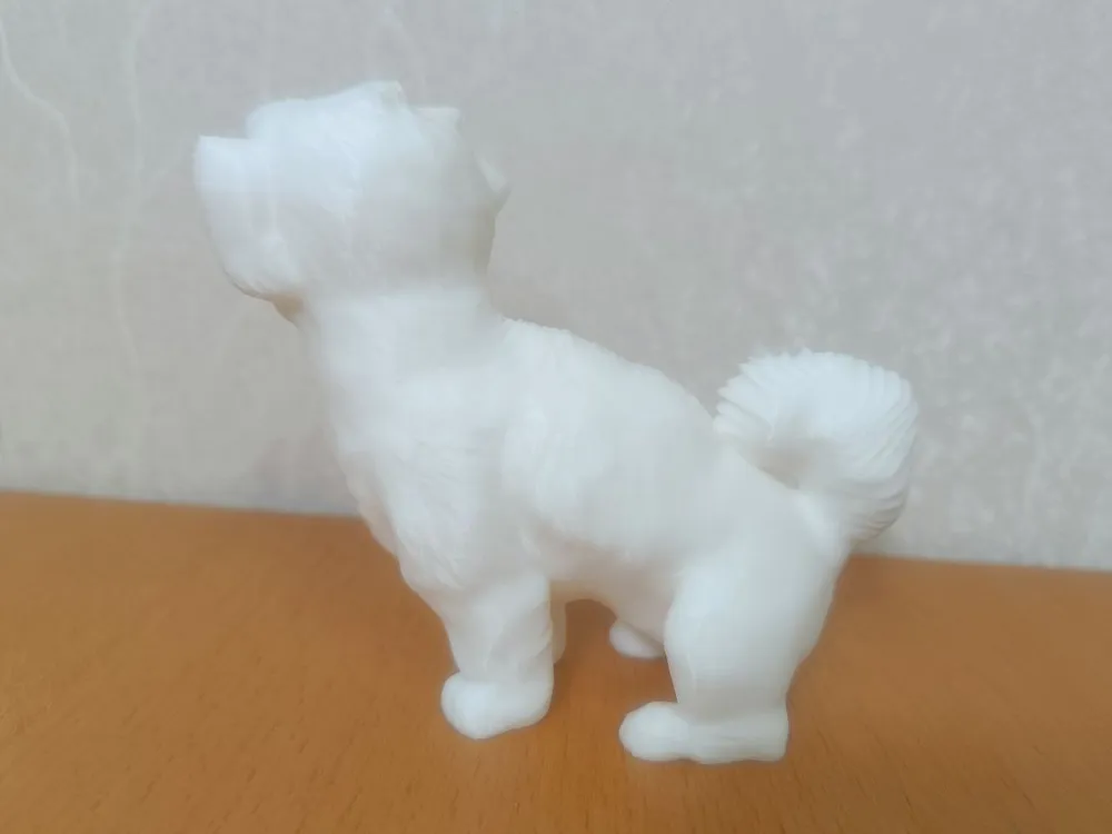Maltese dog puppy - Free 3D Print Model - MakerWorld