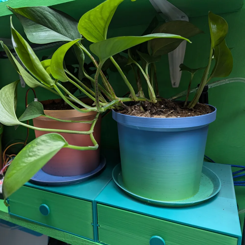 6-Inch Plant Pot – Stack-able by David's IT Garage - MakerWorld