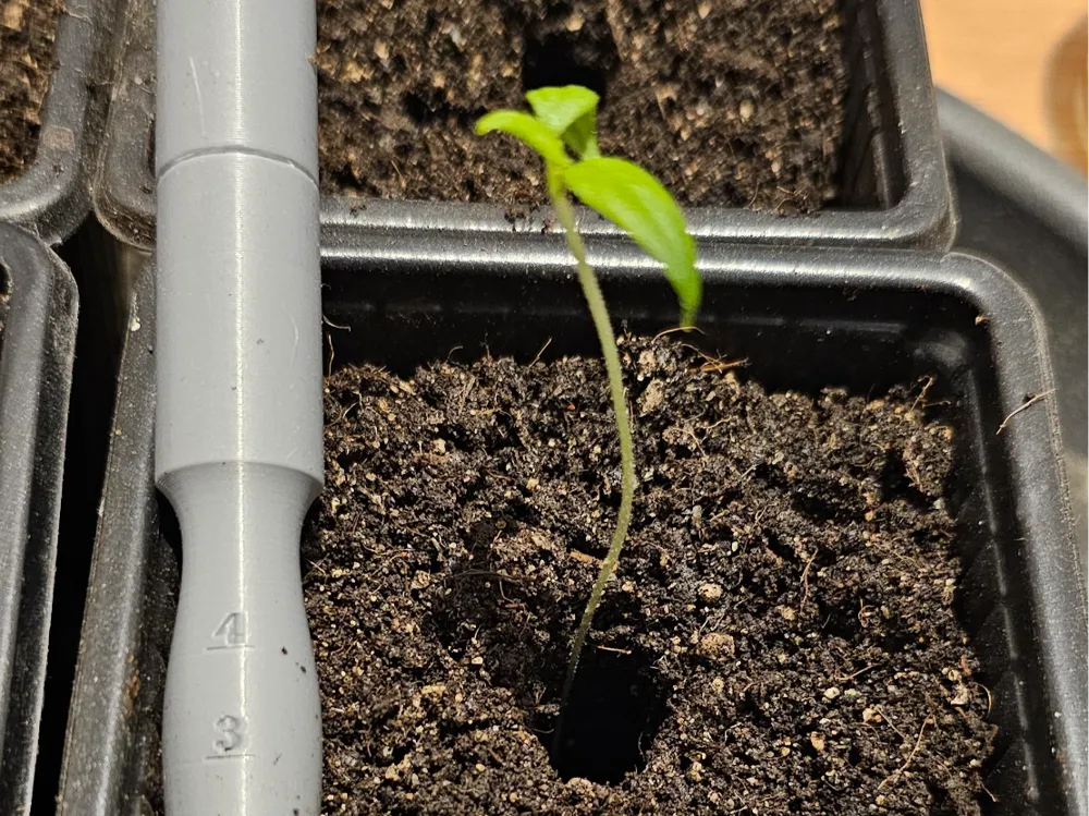 Planting dibble tool by Timo - MakerWorld