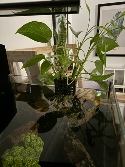 Planter Box for Aquarium by Bearingtonne - MakerWorld