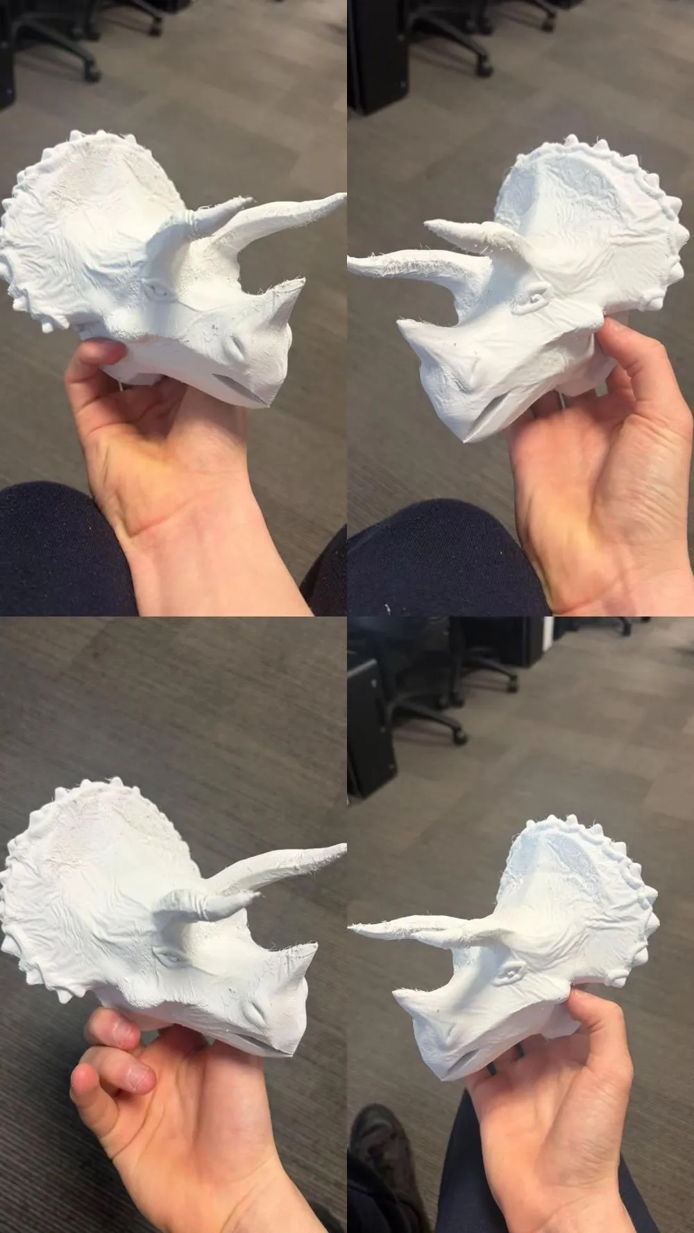 Triceratops Head Skull - Display Art - Free 3D Print Model - MakerWorld