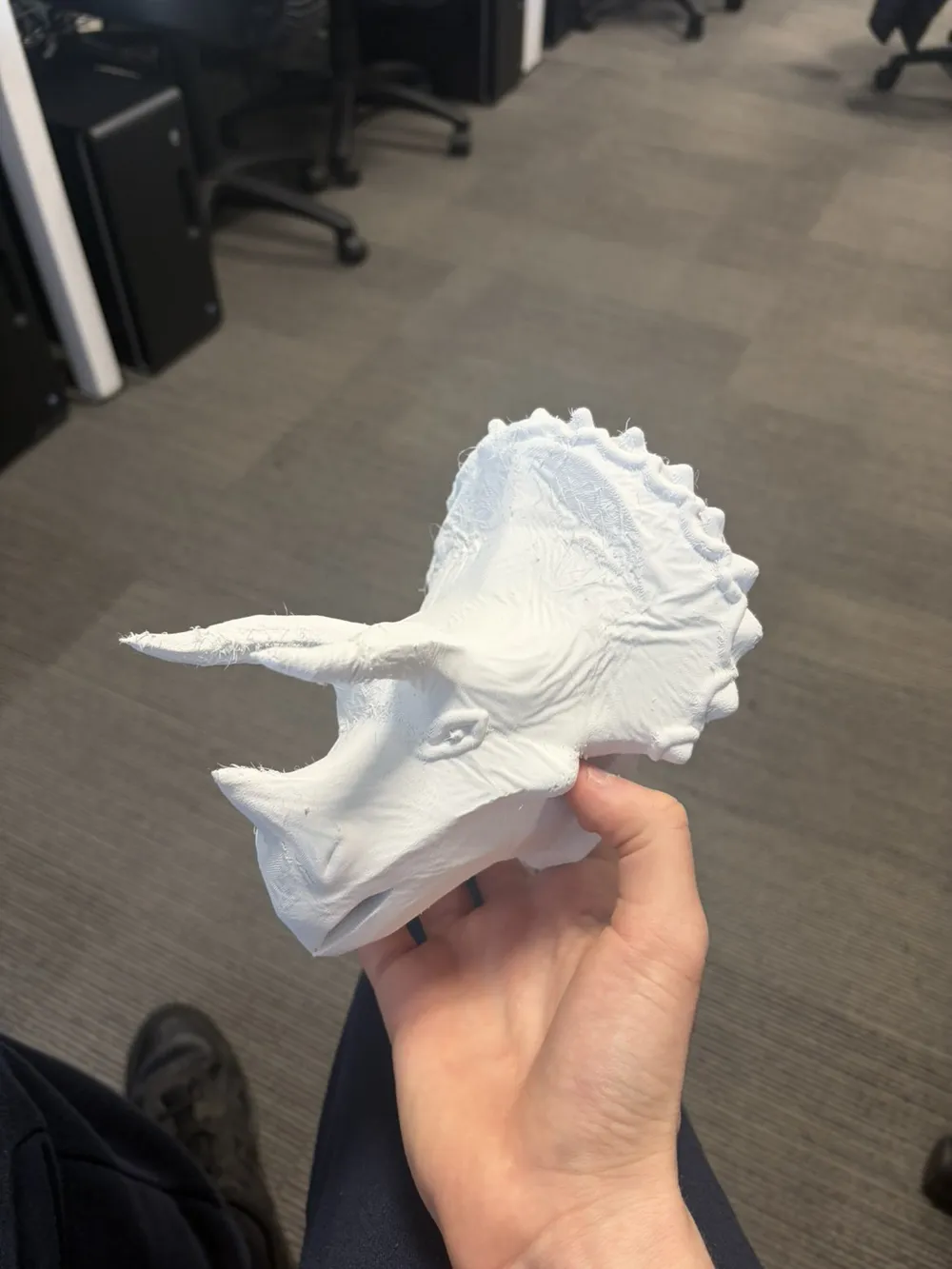 Triceratops Head Skull - Display Art - Free 3D Print Model - MakerWorld