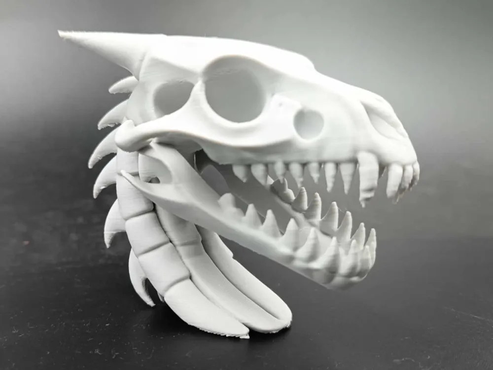 Skeleton Dragon Bust - Skull BUST by drakeforge3d - MakerWorld