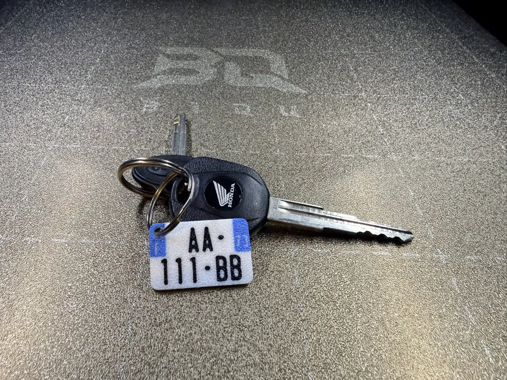 FRANCE Motorcycle License Plate Keychain by Mitsu3D MakerWorld ...
