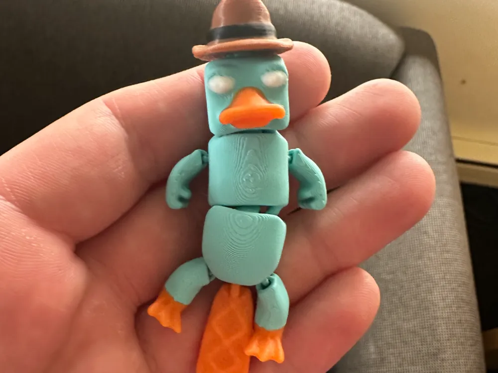 Platypus With Hat - Free 3D Print Model - MakerWorld