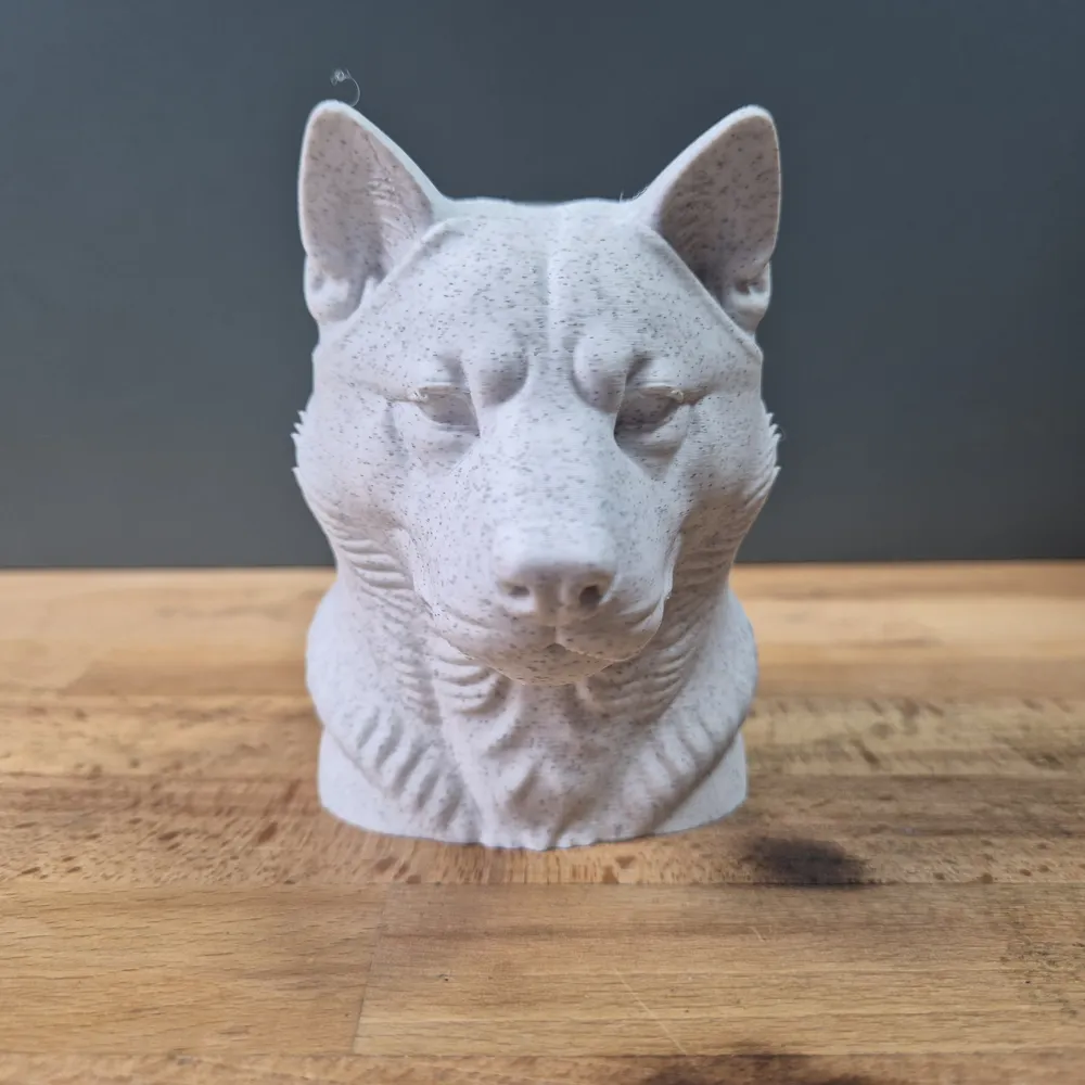 Hokkaido Dog Bust by Mr.Jay MakerWorld: Download Free 3D Models
