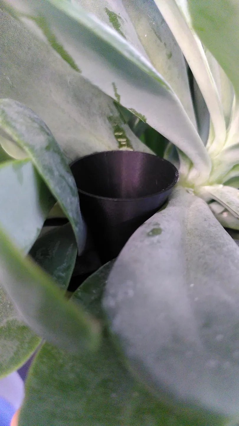 Plant Funnel by Luckyboy - MakerWorld