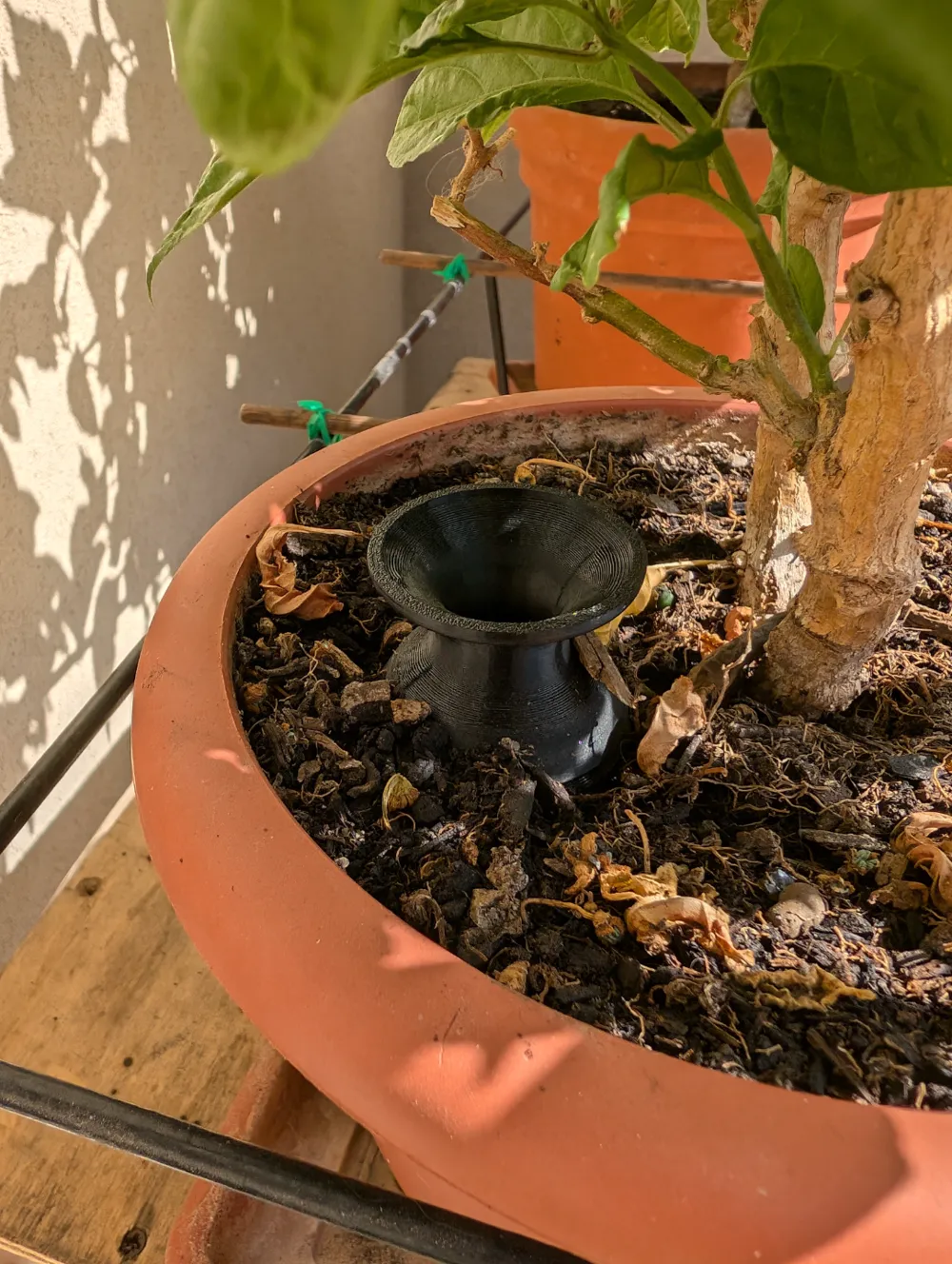 Plant Plug by iluminari3d - MakerWorld