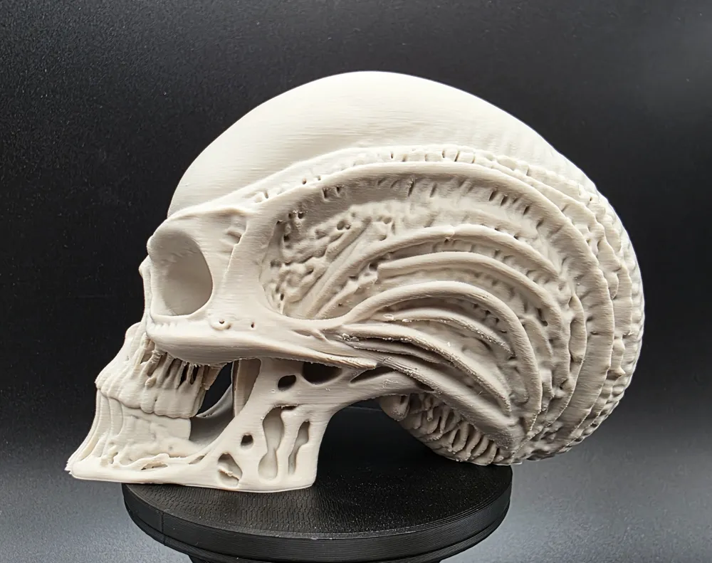 Skeletal Alien Head by The Overthinker MakerWorld: Download Free 3D Models