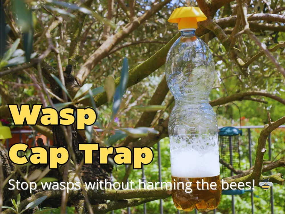 Selective Wasp Cap Trap - Free 3D Print Model - MakerWorld