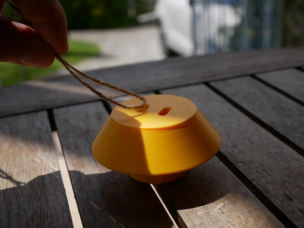 Selective Wasp Cap Trap - Free 3D Print Model - MakerWorld