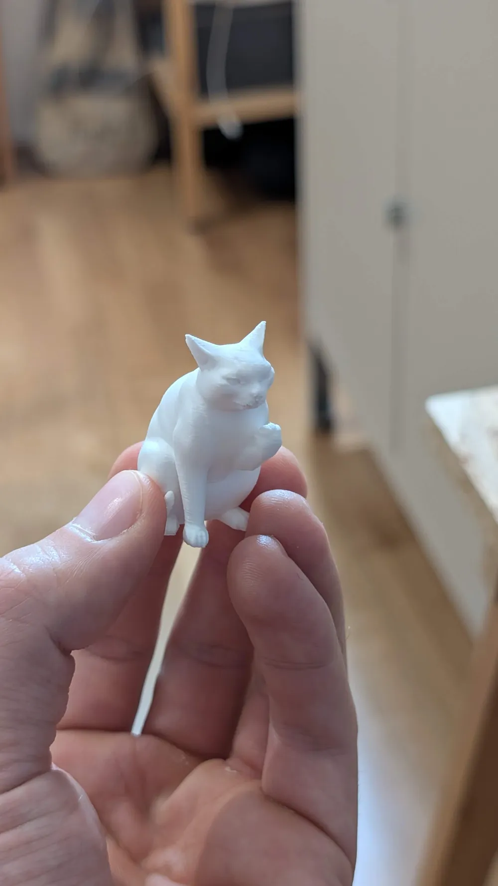 Angry Cat Meme - Free 3D Print Model - MakerWorld