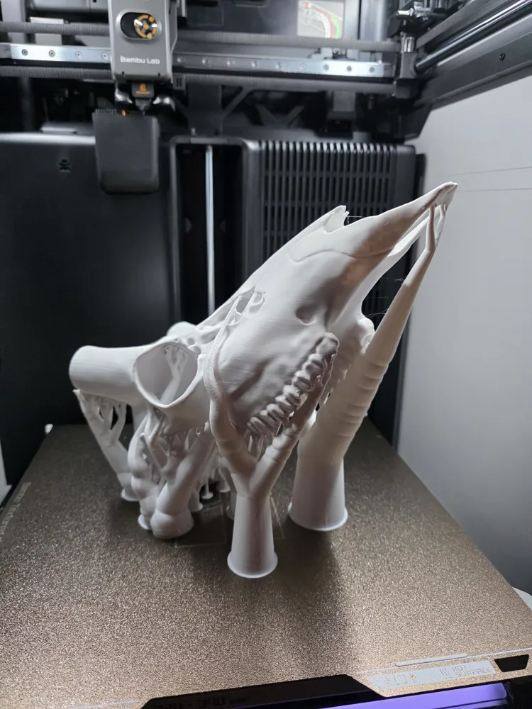 Axis Deer Skull Antler Mount - Bullet Anchors by DTM247 MakerWorld ...