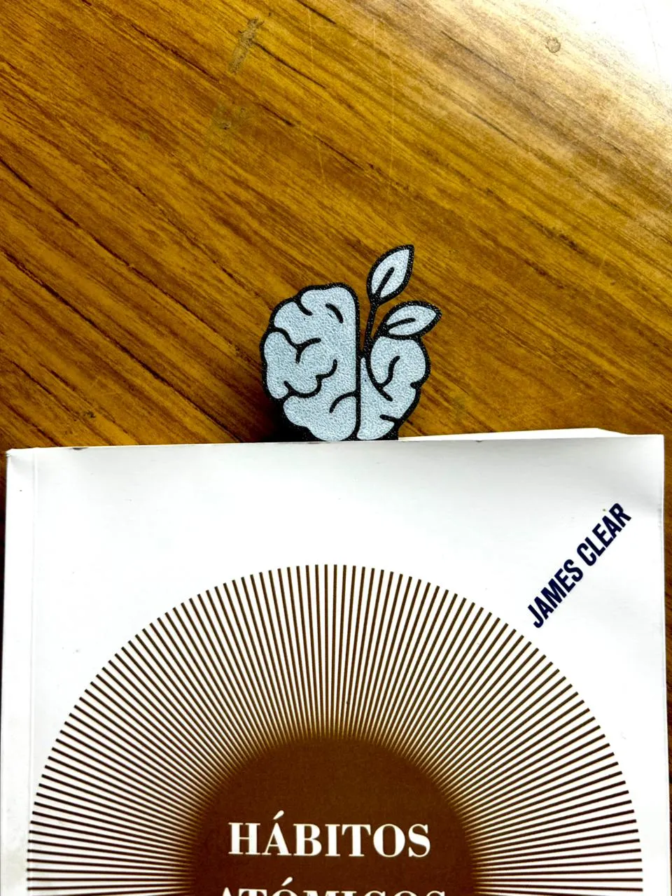 Brain Bookmark - Free 3D Print Model - MakerWorld