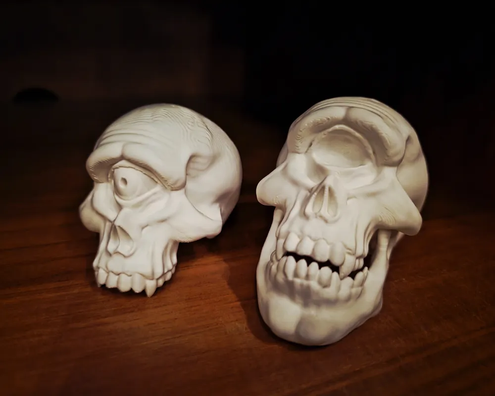 "Cyclops" Skull - Mythical Creature Series Skull 1 by dtm247 - MakerWorld