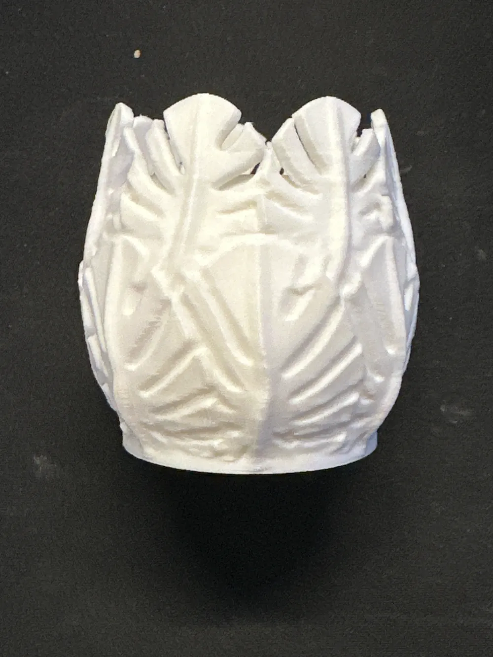 Monstera Themed Planter. Monstera Leaf Plant Pot - Free 3D Print Model ...