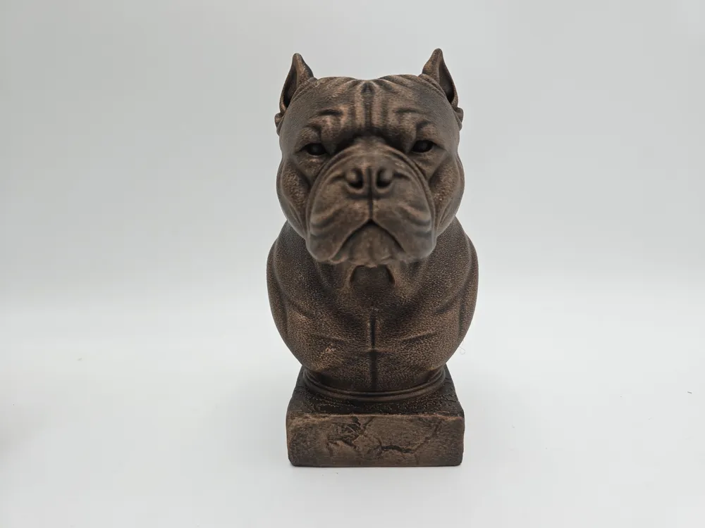 AMERICAN BULLY BUST - Free 3D Print Model - MakerWorld
