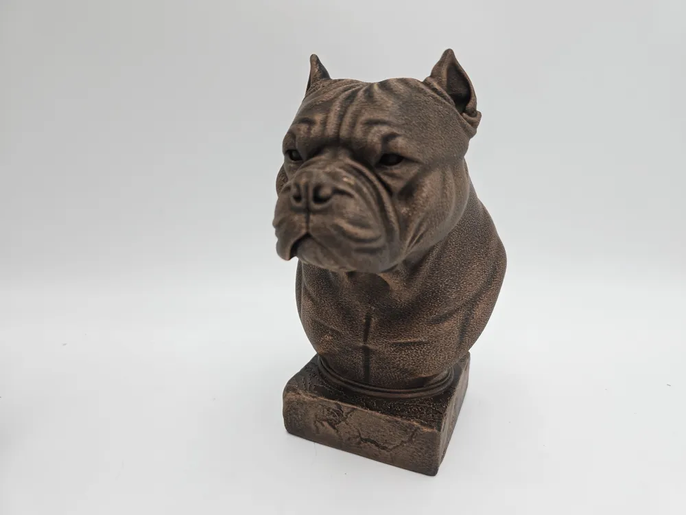 AMERICAN BULLY BUST by Messy_Panda MakerWorld: Download Free 3D Models