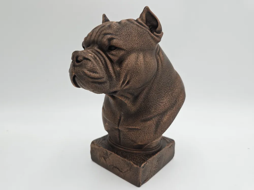 AMERICAN BULLY BUST - Free 3D Print Model - MakerWorld