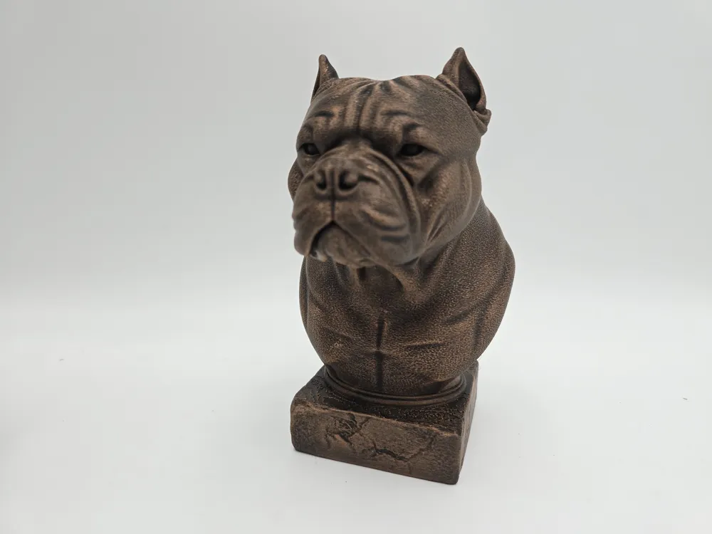 AMERICAN BULLY BUST by Messy_Panda MakerWorld: Download Free 3D Models