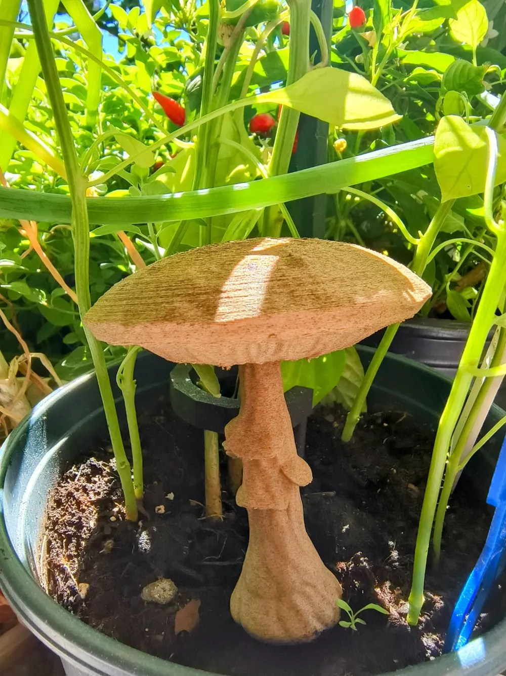 Hongo por Sproutsfromspace MakerWorld: Descarga Modelos 3D Gratuitos