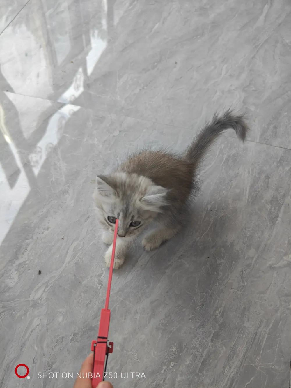 Spring-loaded Knife by Silly fish - MakerWorld