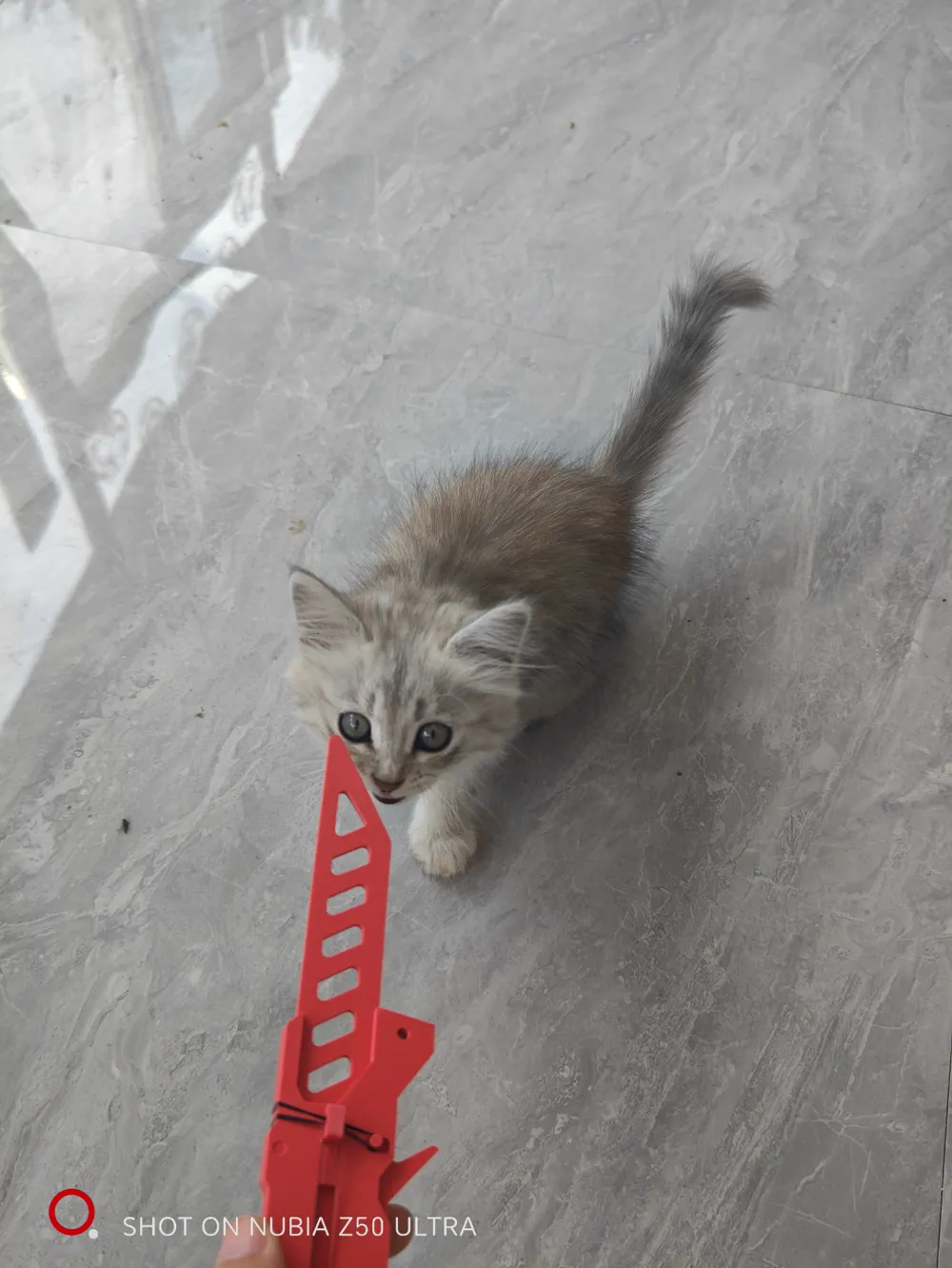 Spring-loaded Knife by Silly fish - MakerWorld